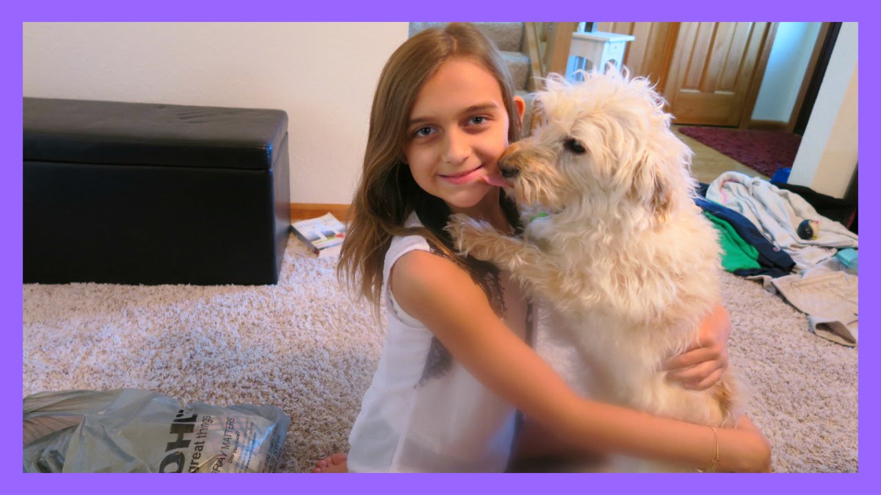 SUPER COOL CLUB PENGUIN HOUSE - YouTube