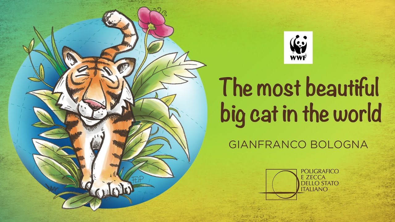 WWF Tiger, the most beautiful big cat in the world_eng - YouTube