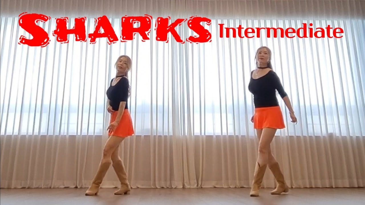 Sharks Line Dance / Intermediate /RESTART(리스타트) - YouTube