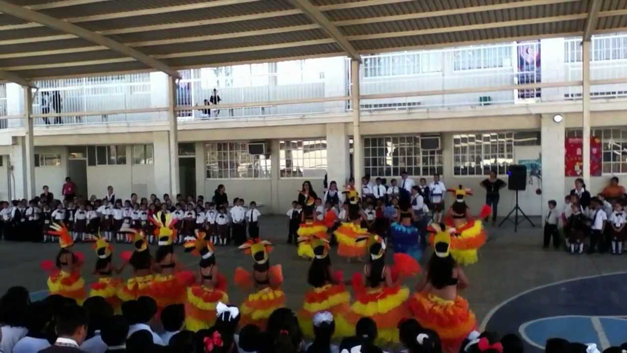 corem veracruz - YouTube