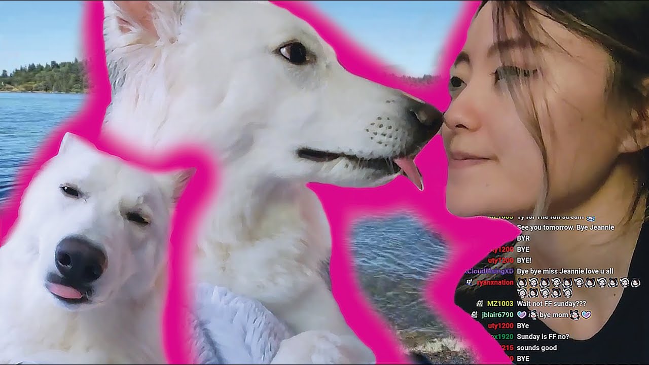 Ein IRL adventures with Jeannie, Henry, Kai | Jeannie Reveals Henry's ...