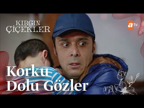 Kemal, Mesude'yi bıçaklıyor! - Kırgın Çiçekler 76.Bölüm