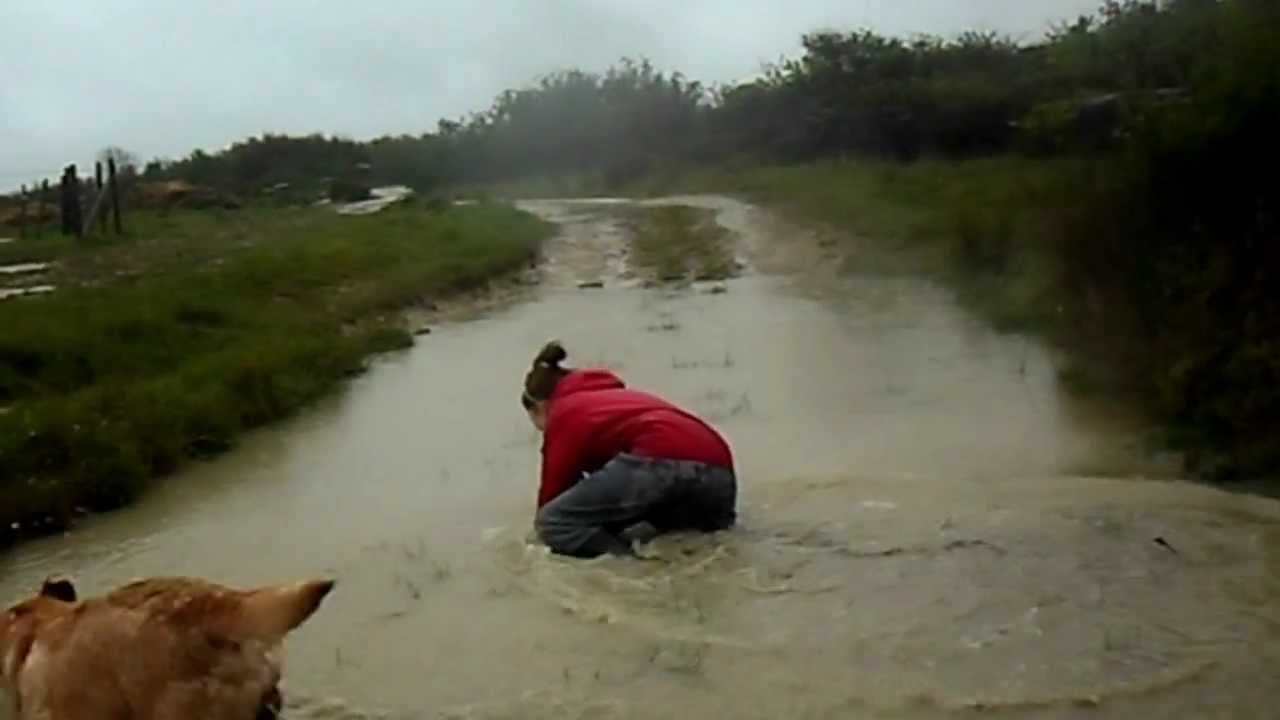 Nikola falling in a puddle! - YouTube