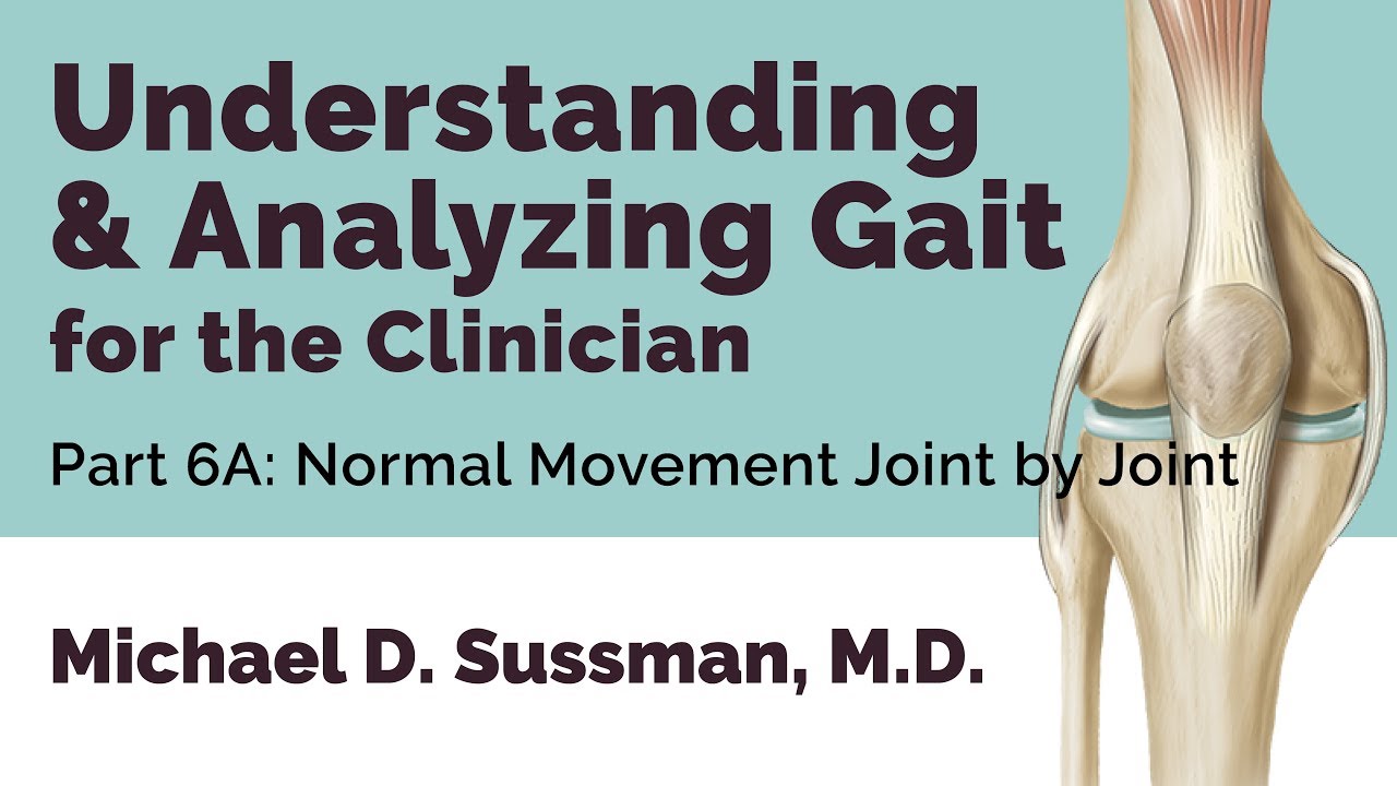 Understanding & Analyzing Gait For The Clinician: Part 06A [Normal ...