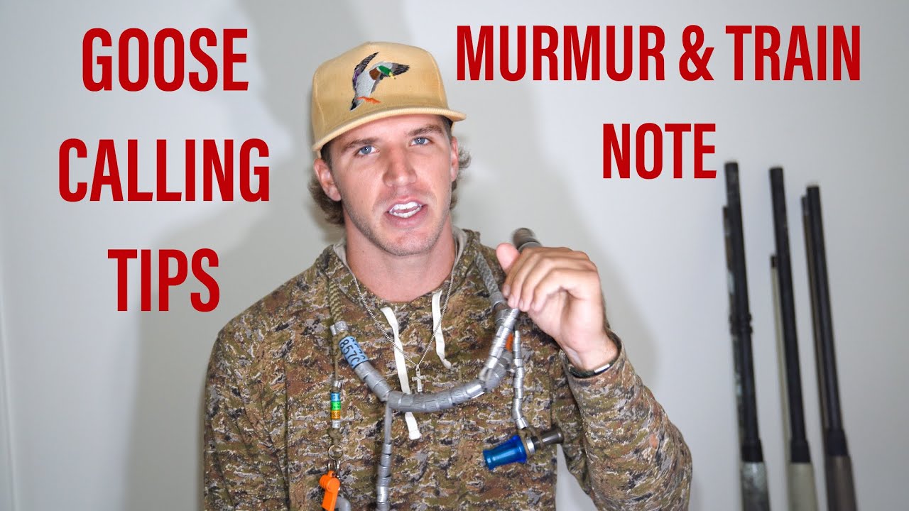 Begginer Goose Calling Tips | MURMUR and Train - YouTube