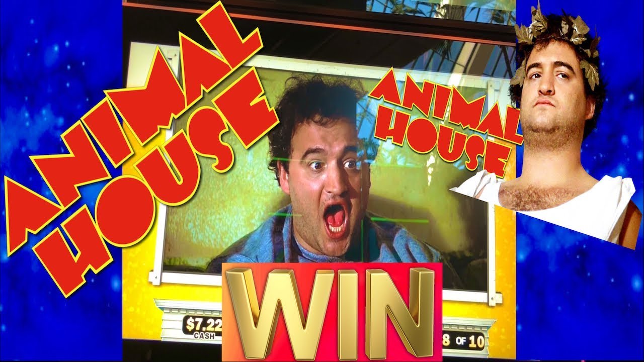 ★NEW SLOT! ANIMAL HOUSE★FIRST LOOK★ SLOT MACHINE BONUS ★LAS VEGAS SLOTS ...
