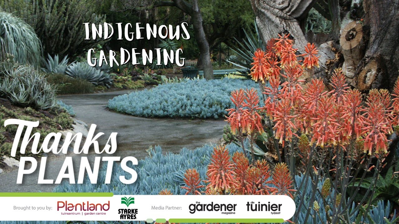 Indigenous Garden Ideas - YouTube