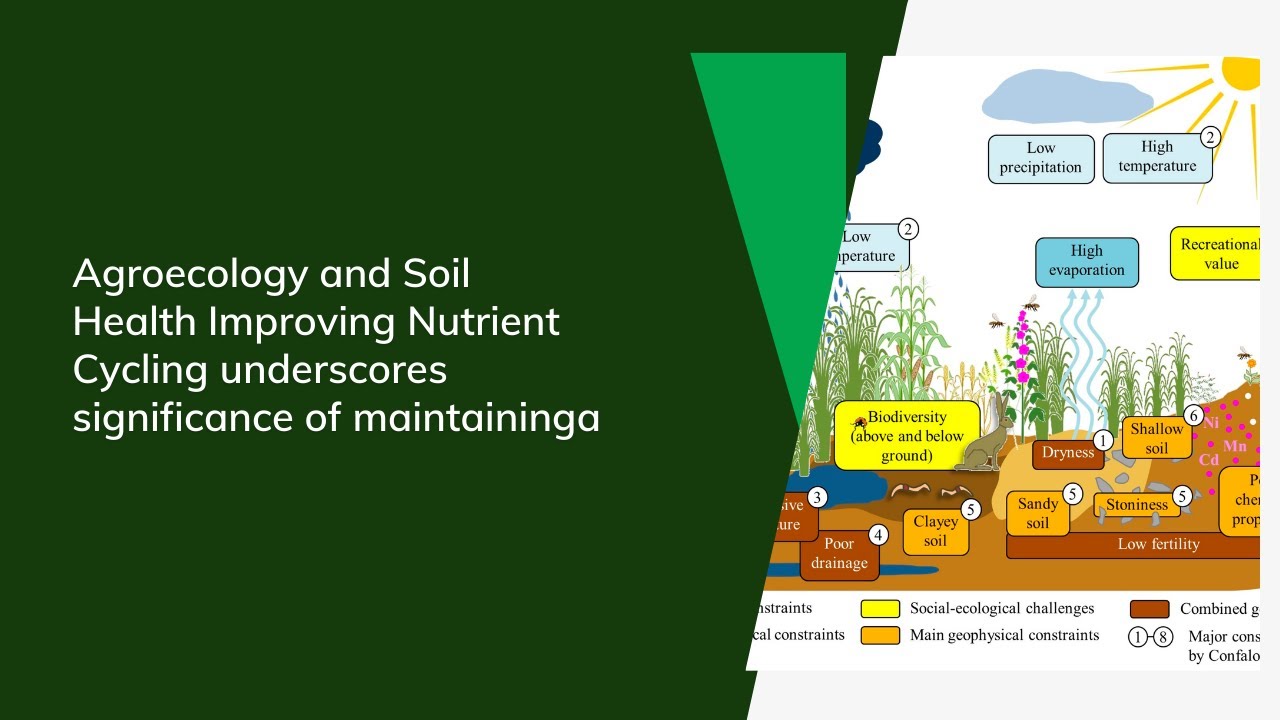 Agroecology and Soil Health Improving Nutrient Cycling underscores ...