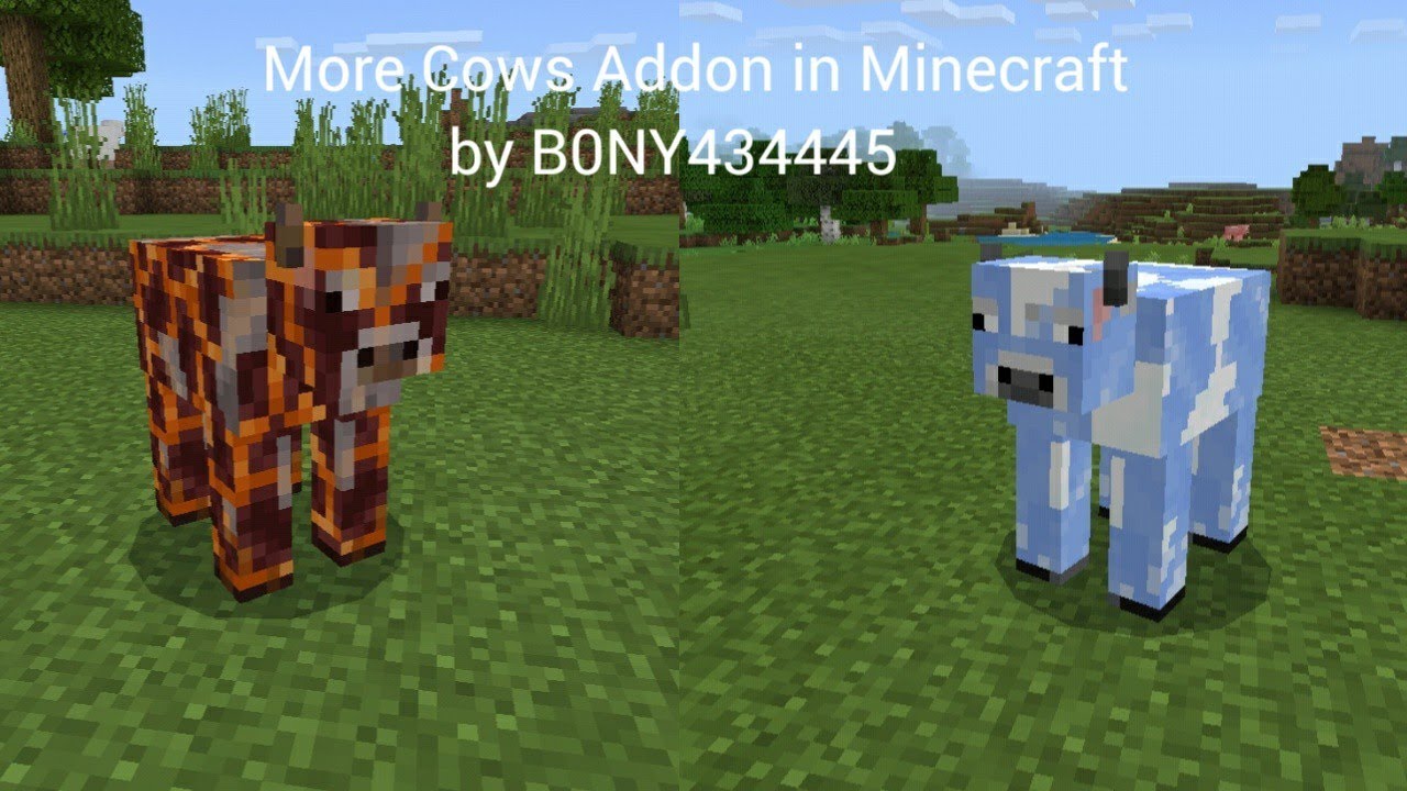 More Cows Addon in Minecraft Bedrock Edition - YouTube