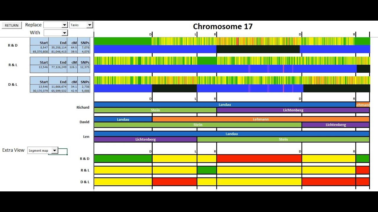 Visual Phasing: A Closer Look at Solving a Chromosome - YouTube