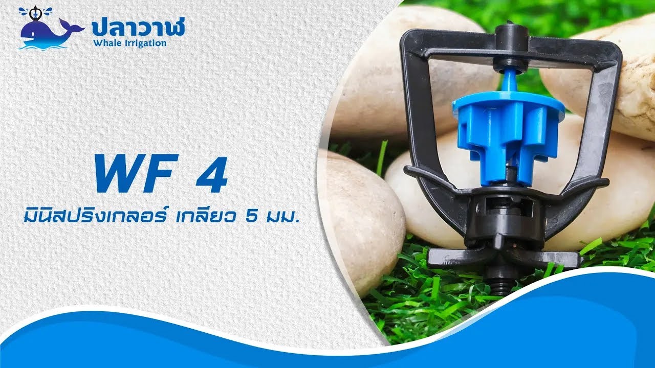 มินิสปริงเกลอร์ WF4 By ระบบน้ำปลาวาฬ - YouTube