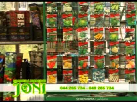 Lulishte ''Joni'' - YouTube