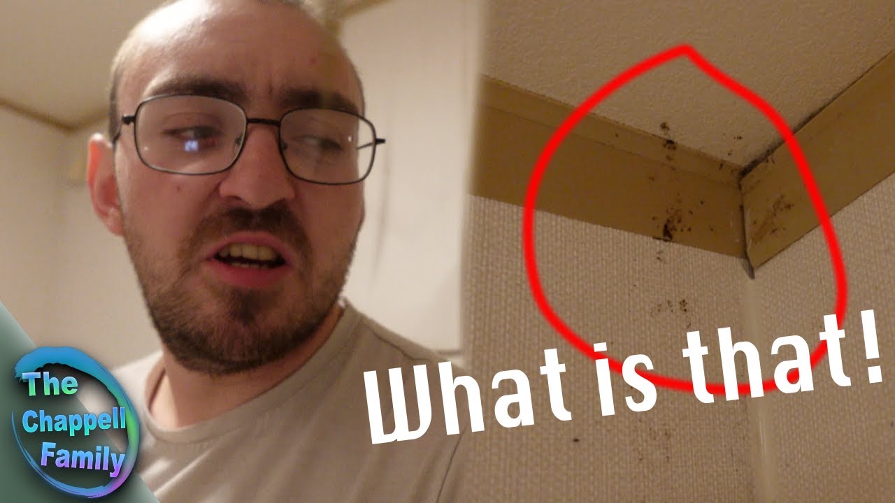 I Survived the WORST Caravan Holiday in Skegness Ever! - YouTube