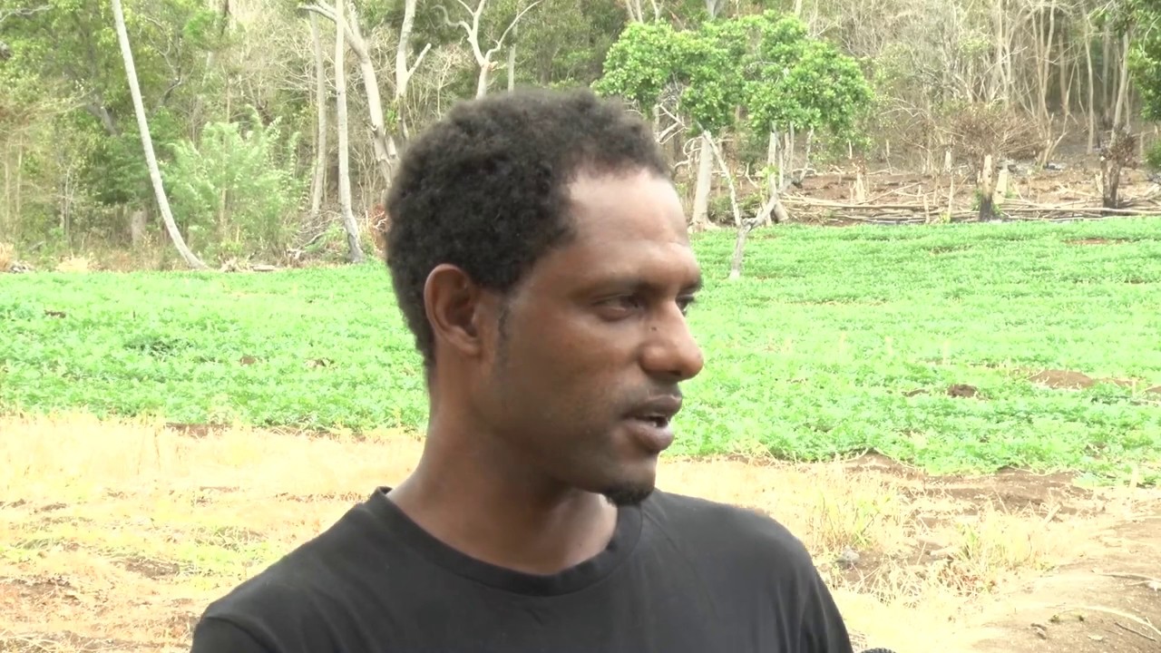 Farmer Feature-Nigel Sookram - YouTube