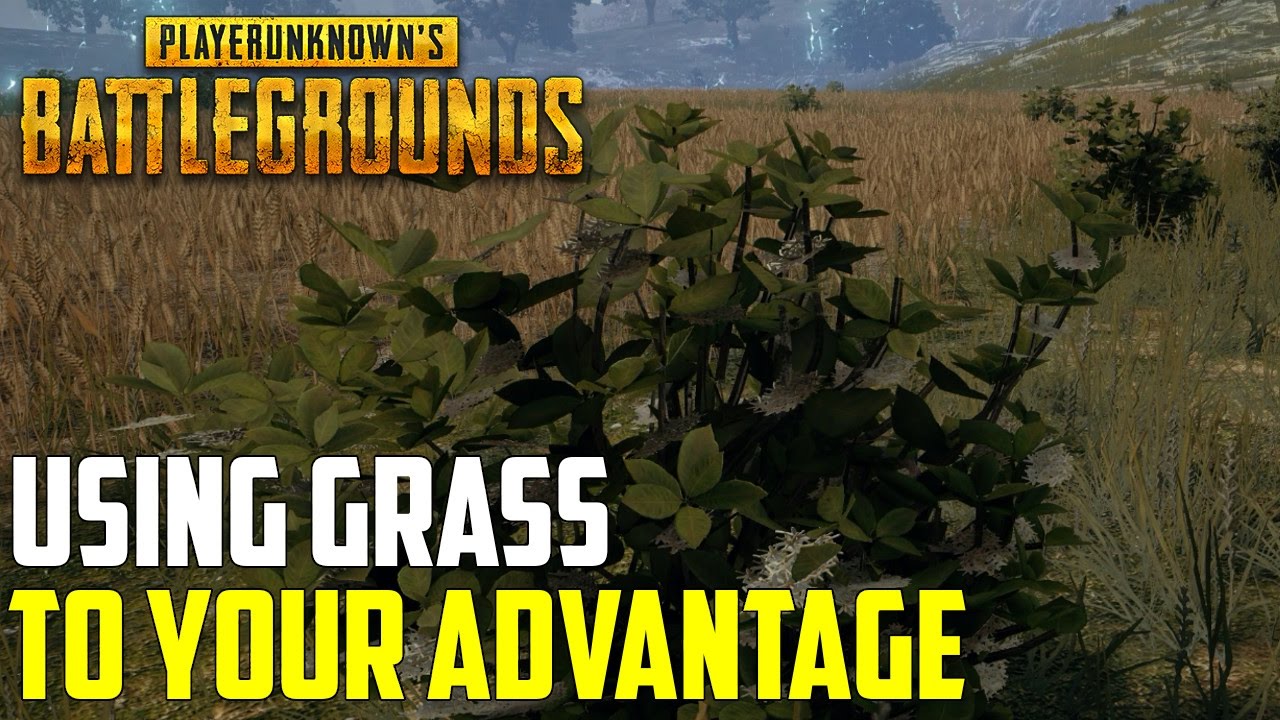 Using grass to your Advantage - PlayerUnknown's Battlegrounds [1440p ...