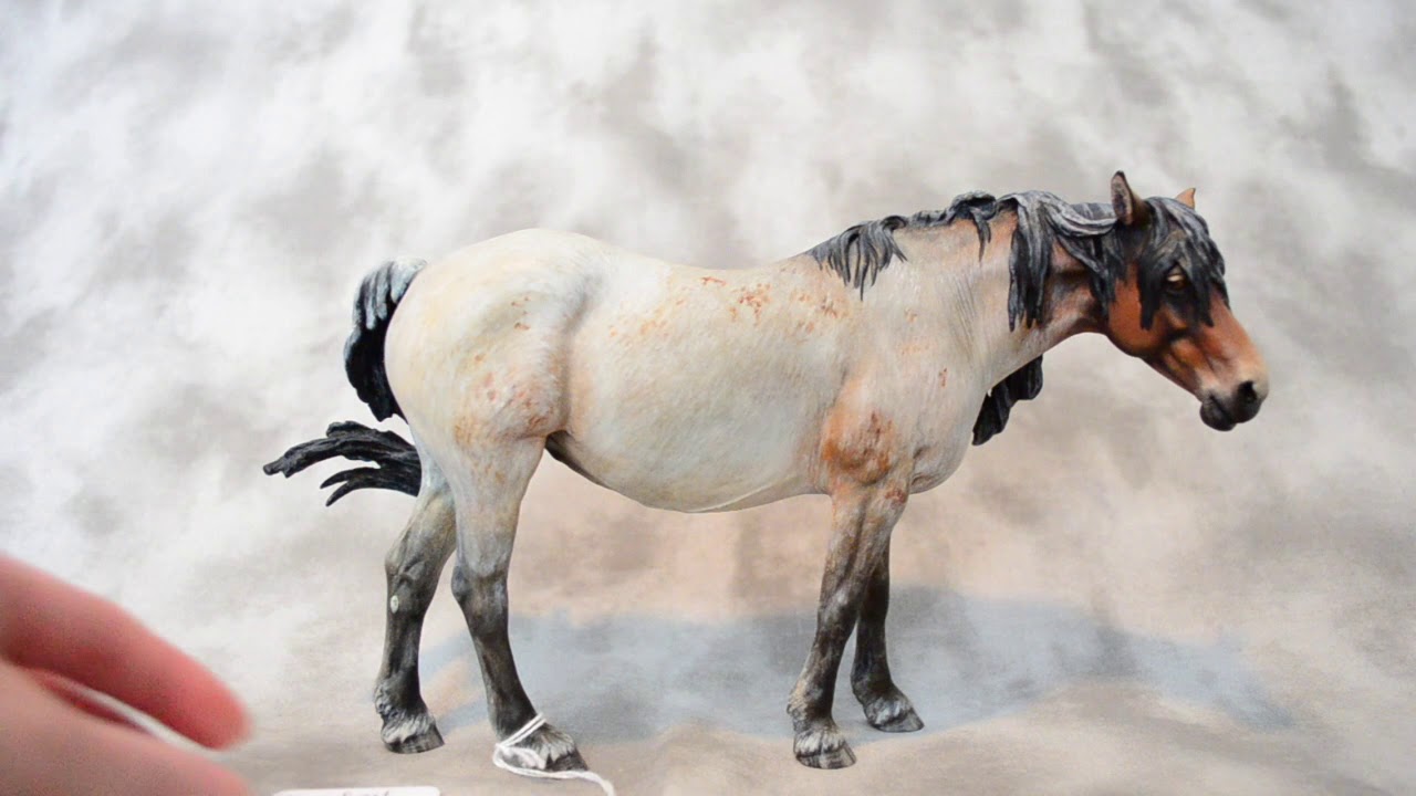 Beginners: Model Horse Live Show Guide - YouTube