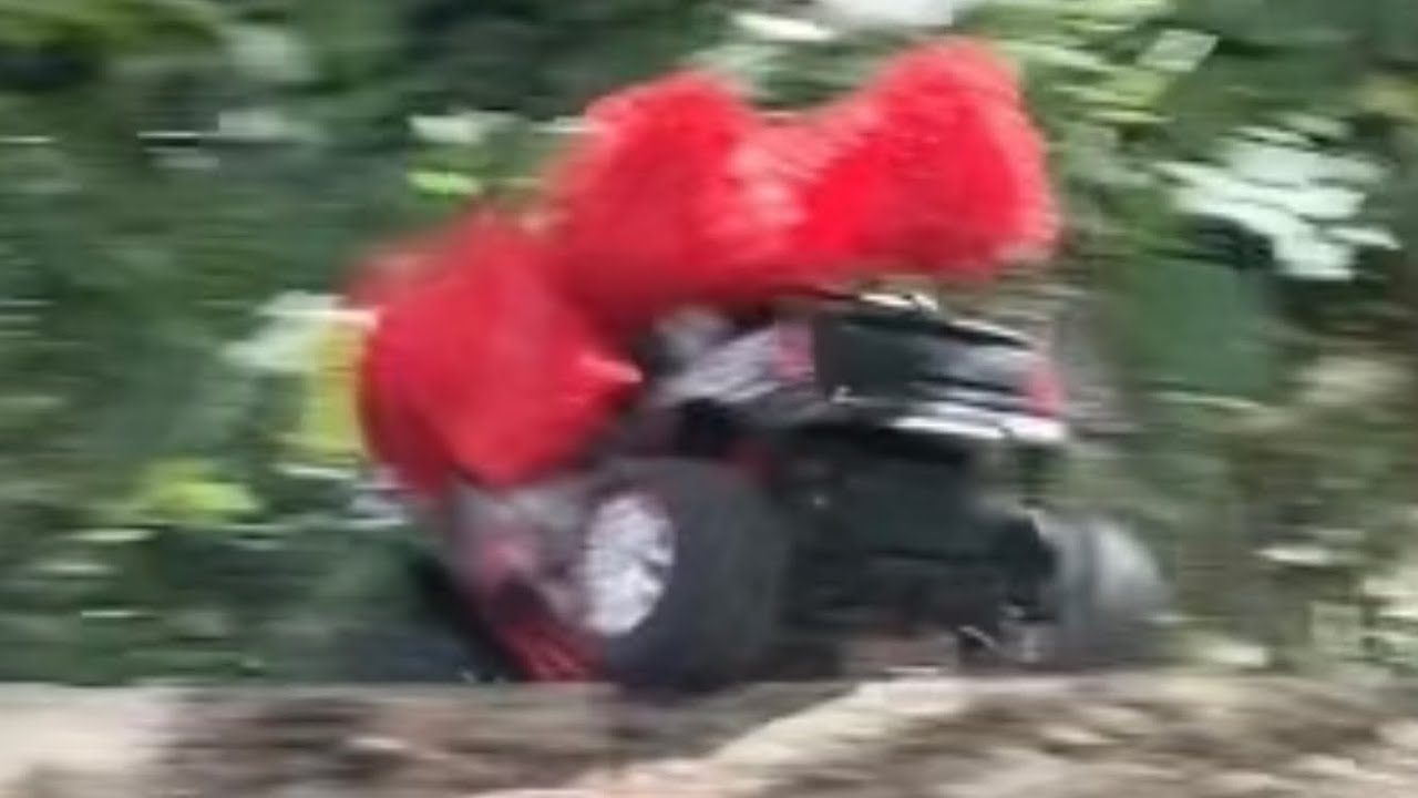 Elmo Drives Fake Elmo Off a Cliff - YouTube