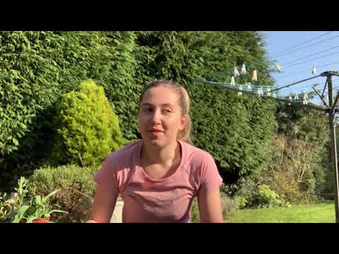 Miss Rachel's Little Dance Stars Class PART 3 - YouTube