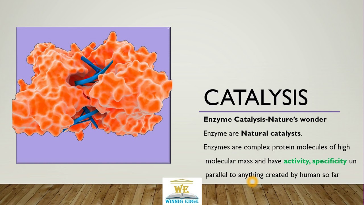 SURFACE CHEMISTRY P2|CBSE|NCERT|NEET|JEE| HETROGENEOUS CATALYSIS ENZYME ...