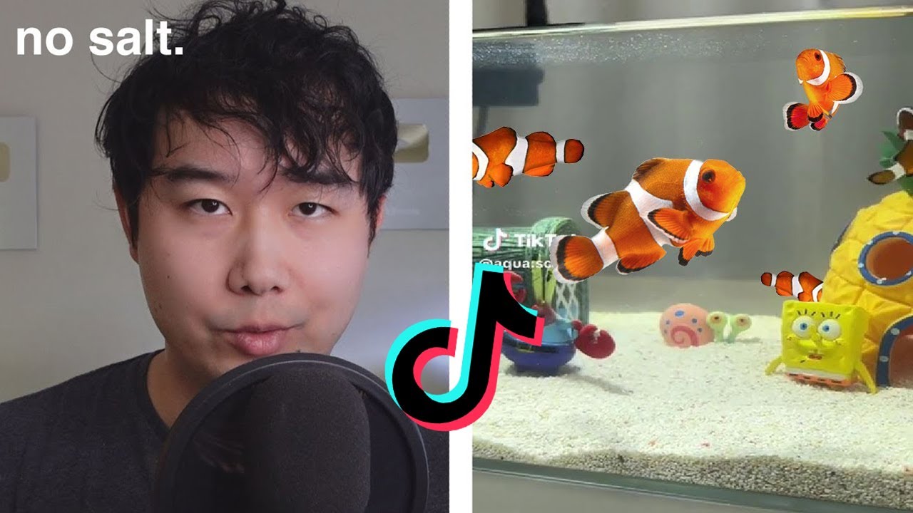 the MOST normal saltwater TikTok Fishkeeper | Fish Tank Review 208 ...