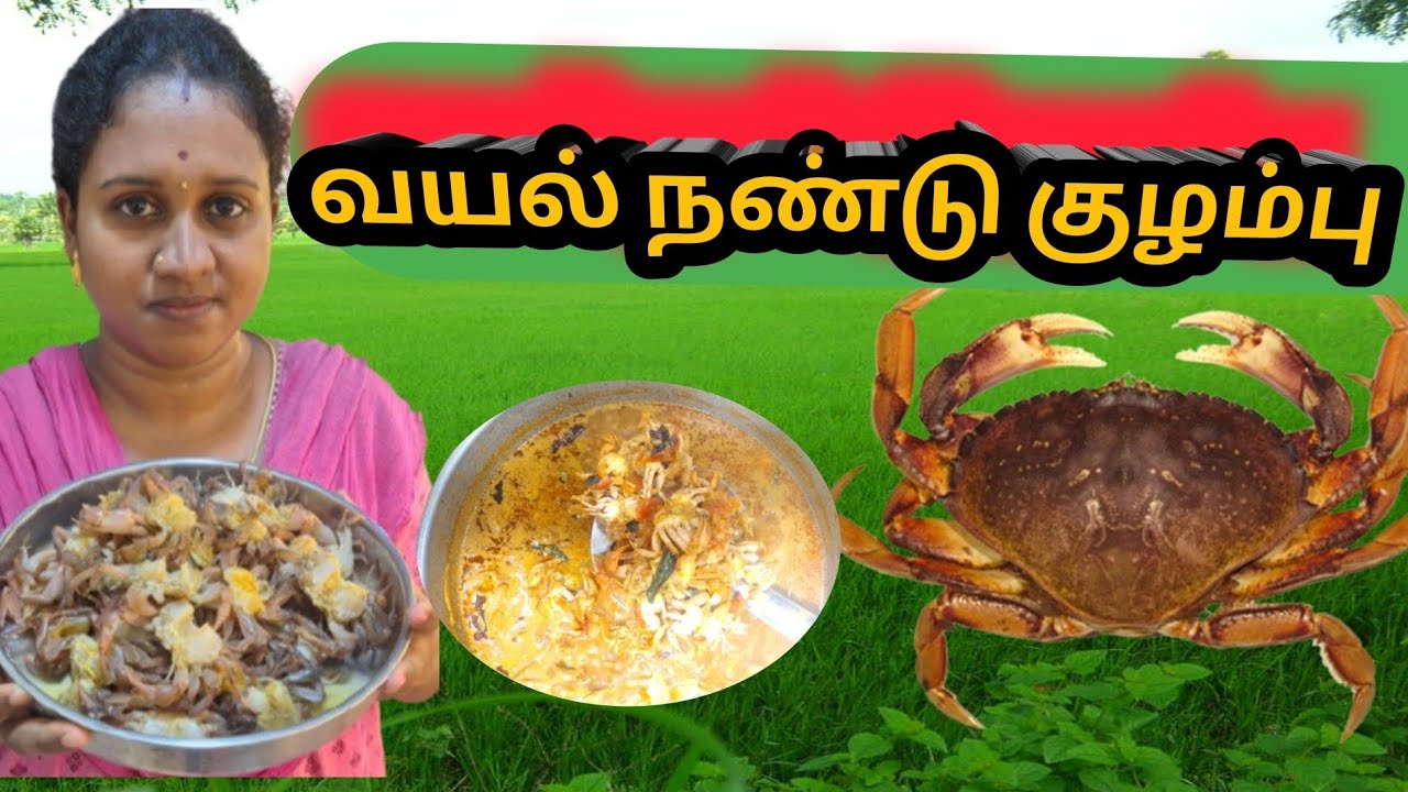 COUNTRY CRAB KULAMBU|Crab catching and Cooking|South Indian Crab Curry ...