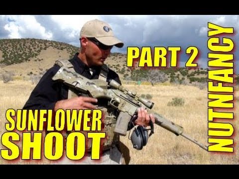 "Sunflower Shoot" Pt 2 by Nutnfancy - YouTube