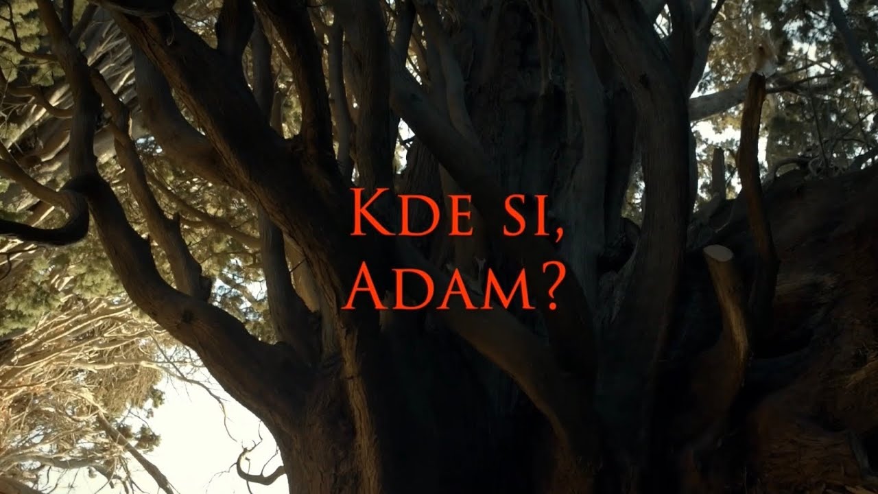Kde si, Adam? Trailer filmu v slovenčine. Ako si film pozrieť ...