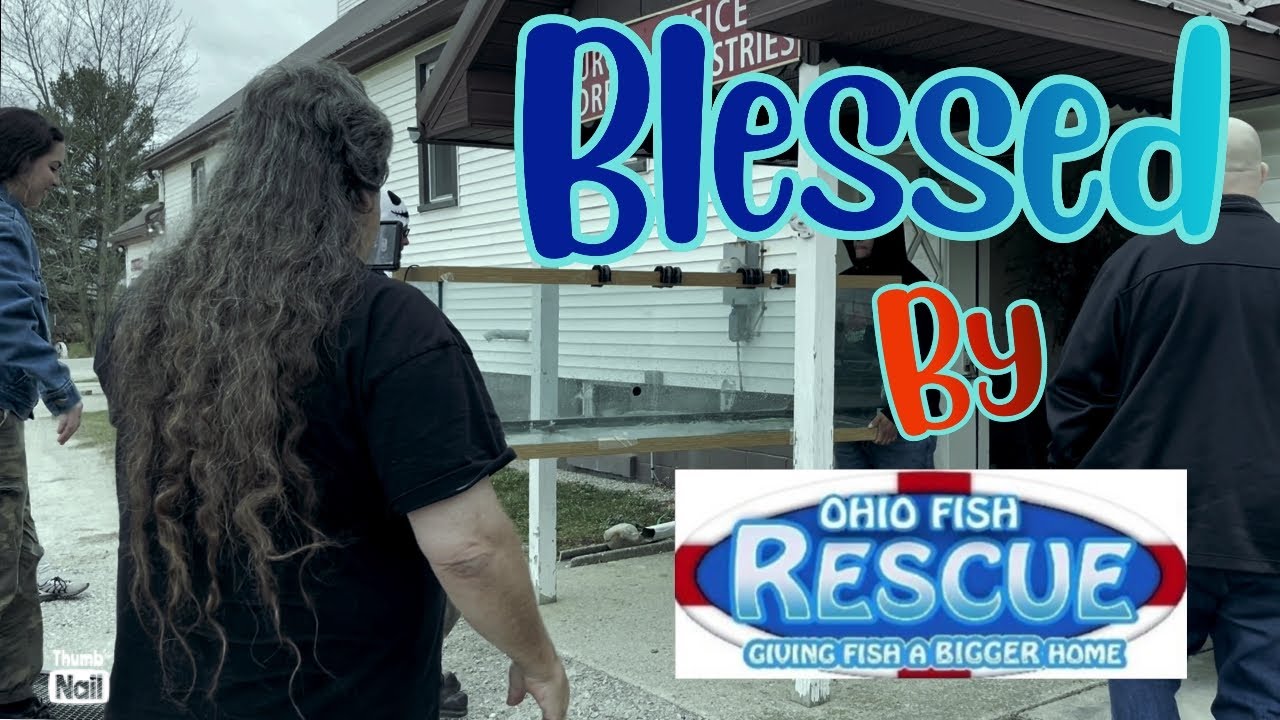Blessed by Ohio Fish Rescue - YouTube