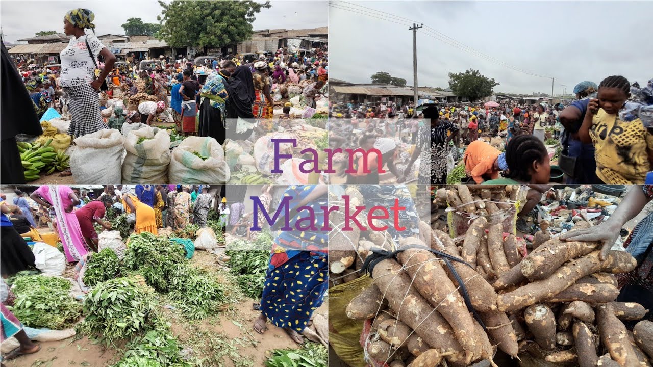 Farmers Market in Ibadan // Unedited Vlog - YouTube