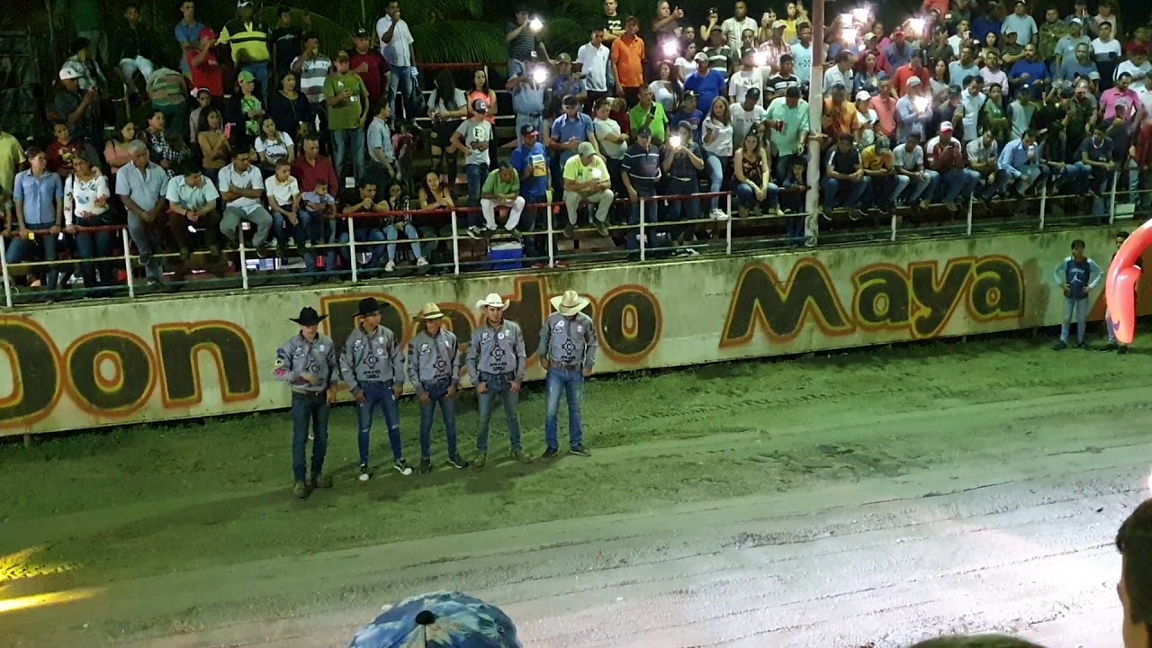 Toros coleados de campeones - YouTube