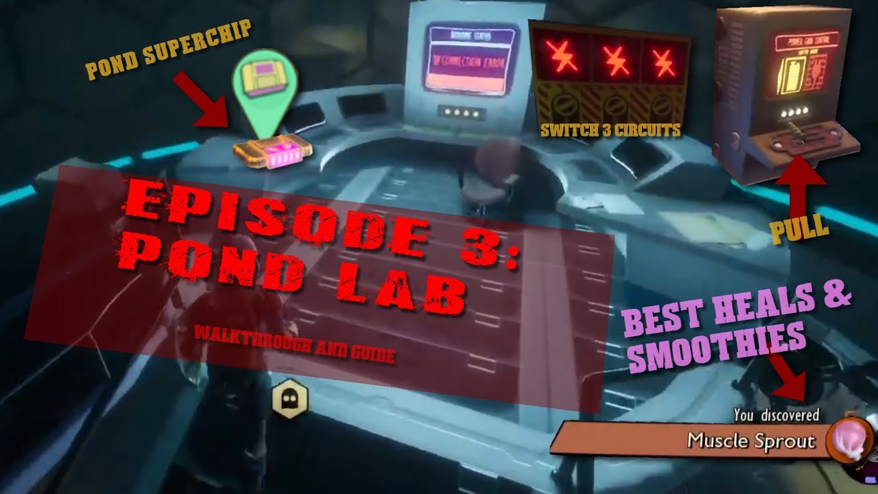 Pond Lab Guide Walkthrough | Solo Grounded Highlights Episode 3 - YouTube