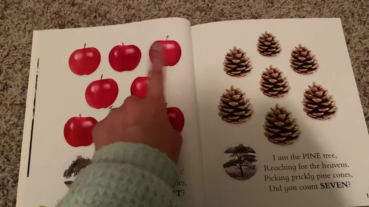 Read Aloud: Trees Count - YouTube