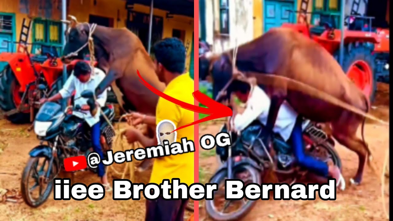 Brother Bernard funny videos compilation 2024 | Ep 8 |Try not to laugh ...