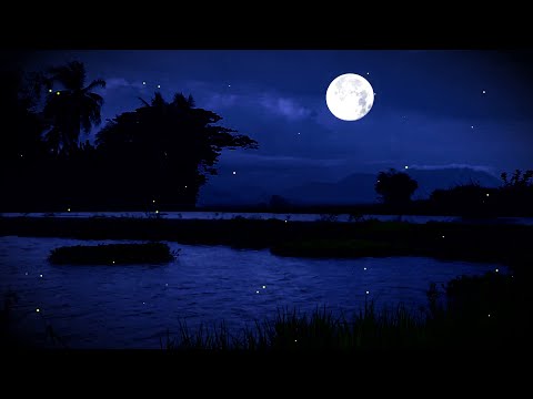 Night Ambient Sounds, Frog, Cricket, Swamp Sounds at Night, Focus or Deep Sleep | Nature White Noise