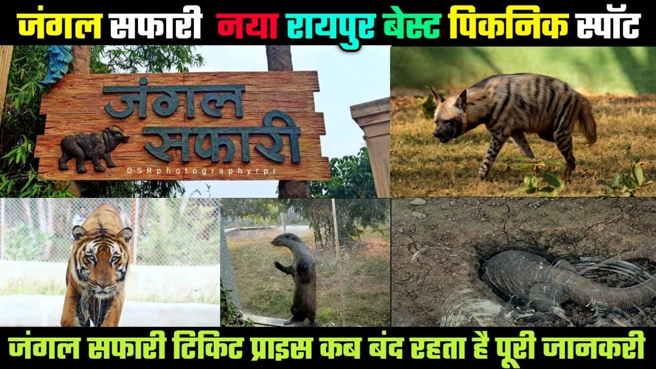 Jangal Safari Naya Raipur || Raipur Best Tourist place || Jangal Safari ...