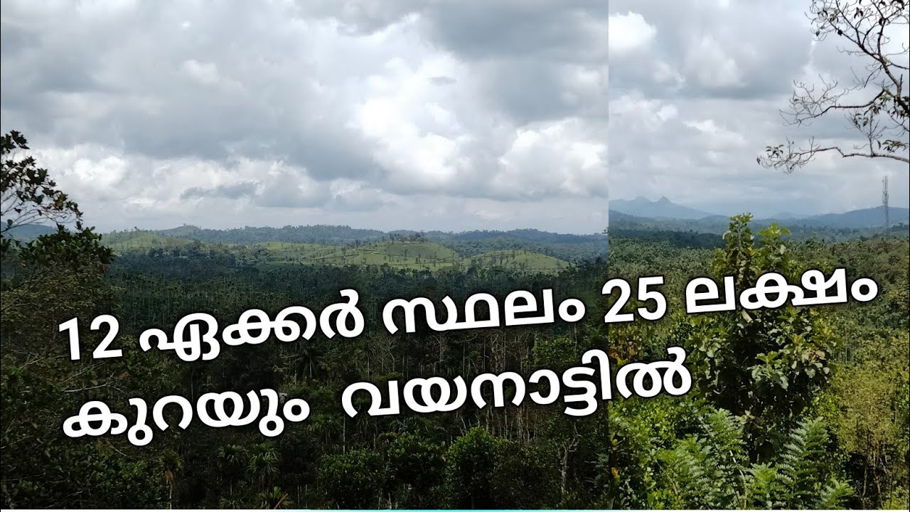 #liju wayanad#12 acre land for sale #wayanad - YouTube