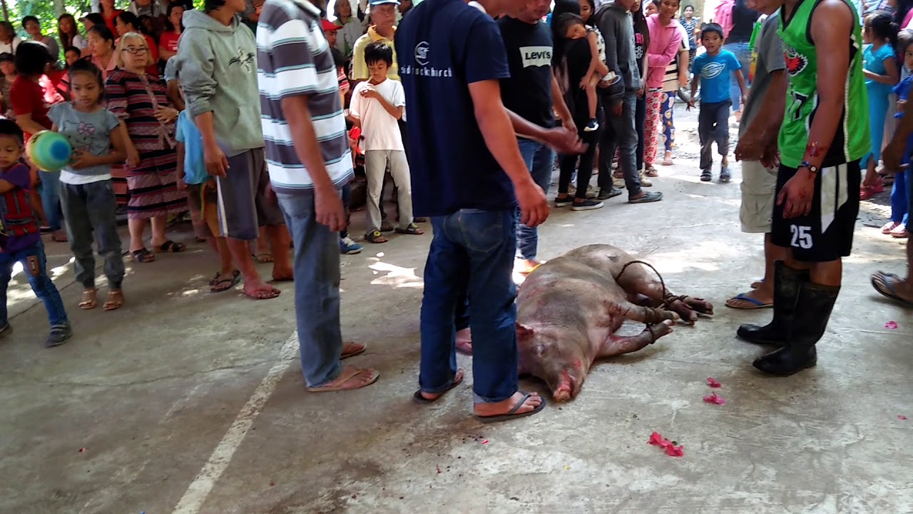 Watwatan Festival at Salinas Bambang Nueva Vizcaya - YouTube