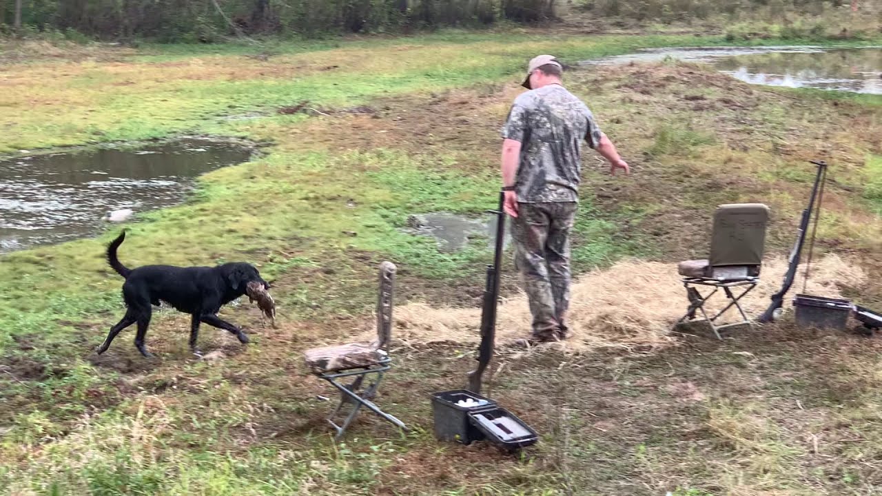 HRC Finished Hunt Test - Water (Four States Retriever Club) - YouTube