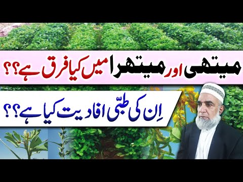 Difference between Methi and Methra || Health benefits of Methi || Crop Reformer