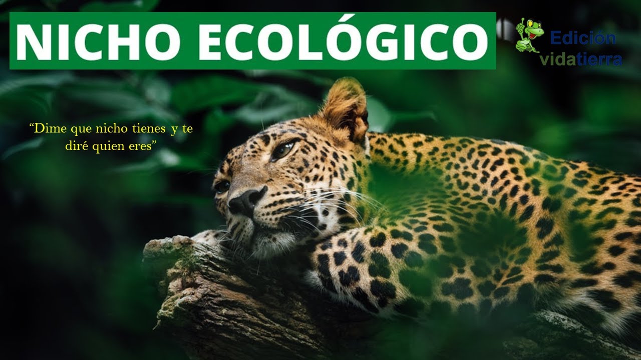 Biologia De Nicho