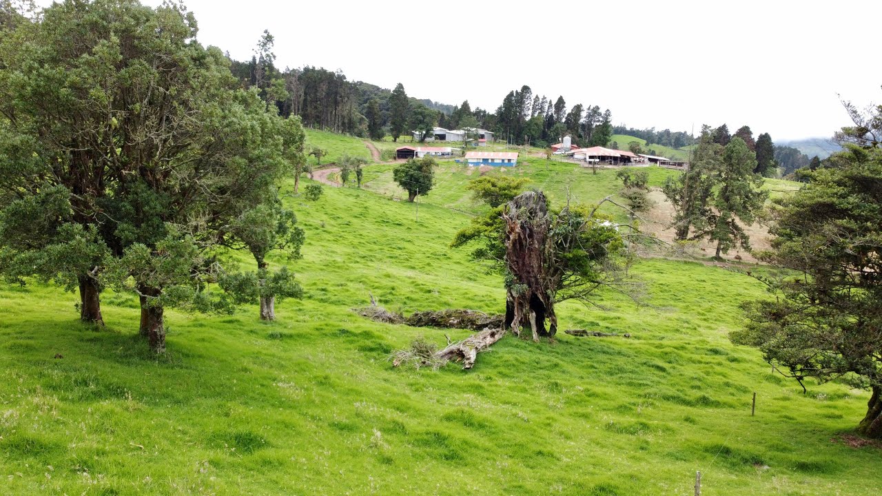 Poasito, Alajuela, CR. - YouTube