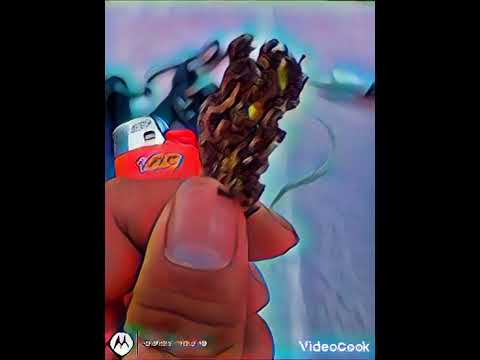 el mismo sueño/DrackHdzSpak jaguar Gro la zona