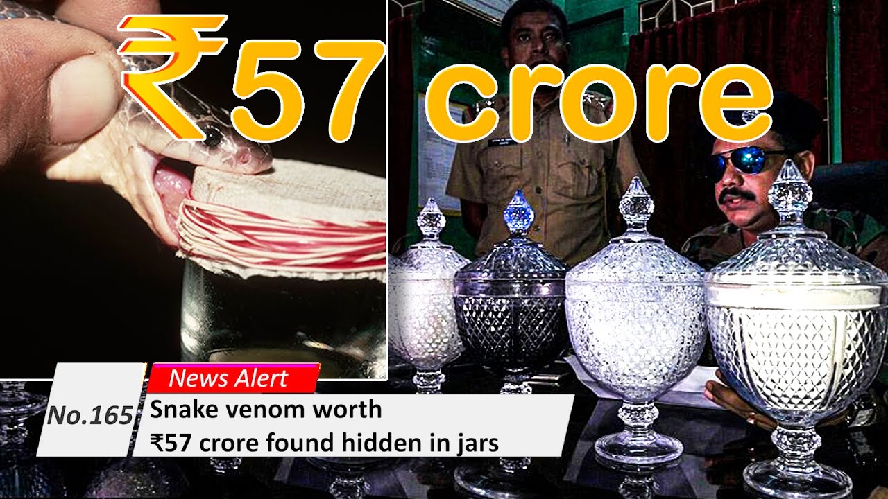 No165, News Alert: "Snake venom found hidden in jars (ISL) - YouTube
