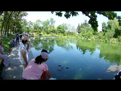 Almaty botanical garden - YouTube