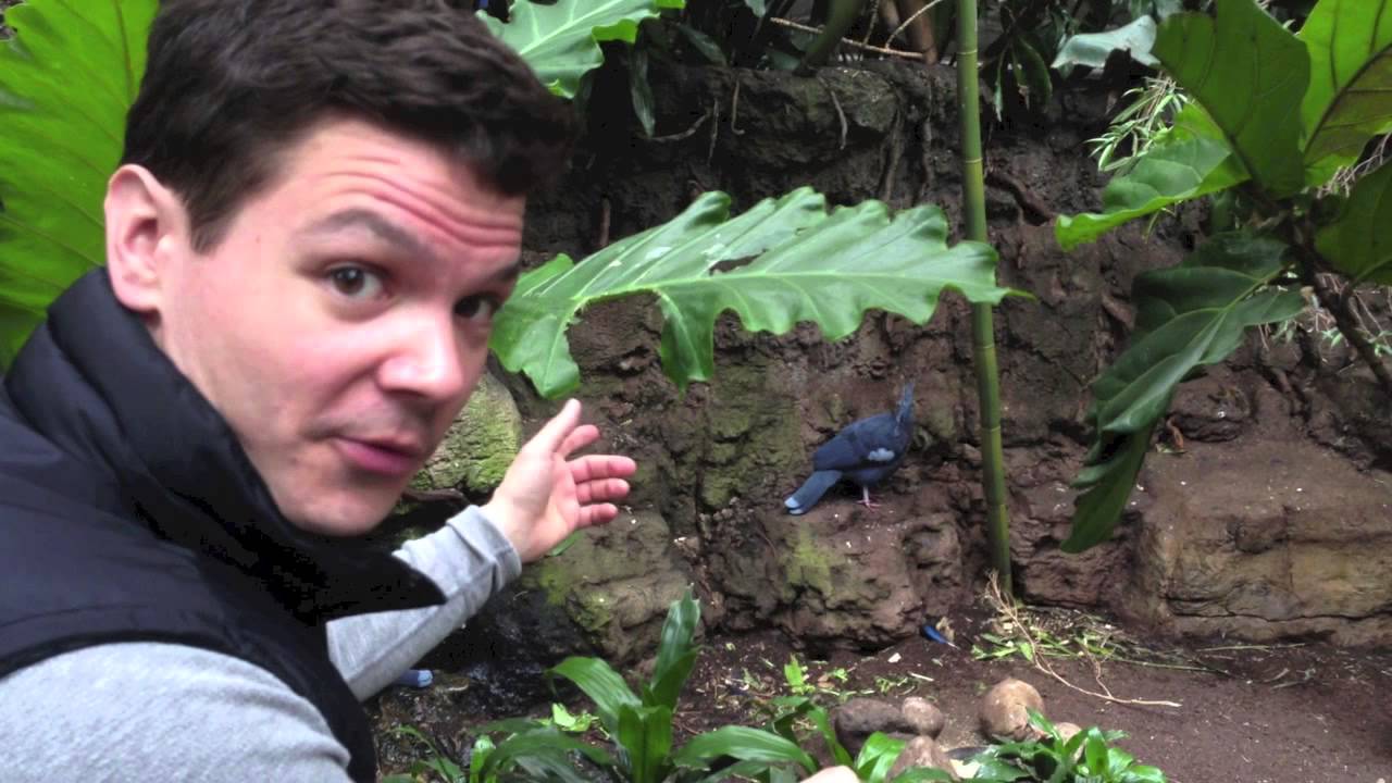 Matt Mundy Hosting. Mutual of Omaha Wild Kingdom finalist. - YouTube