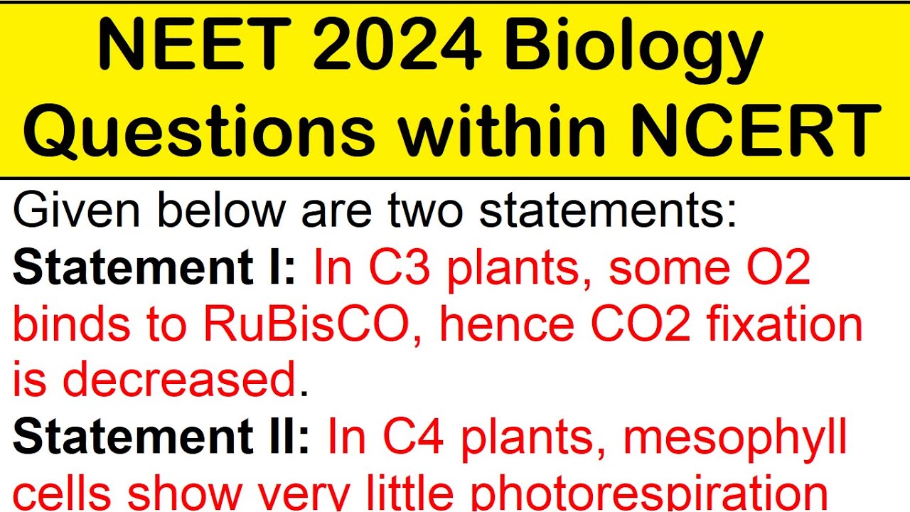 In C3 plants, some O2 binds to RuBisCO, hence CO2 fixation is decreased ...