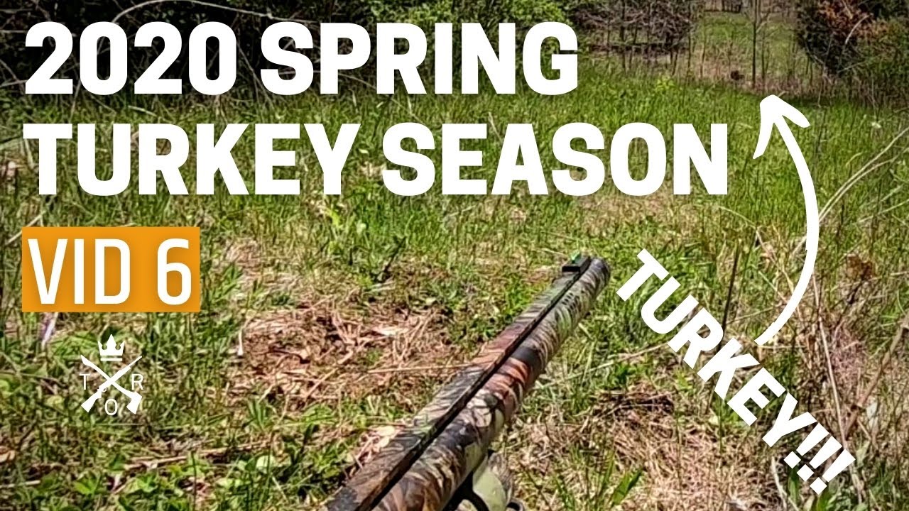2020 Spring Turkey Season: STALKING TURKEYS | MORNING FOG GOBBLER - YouTube
