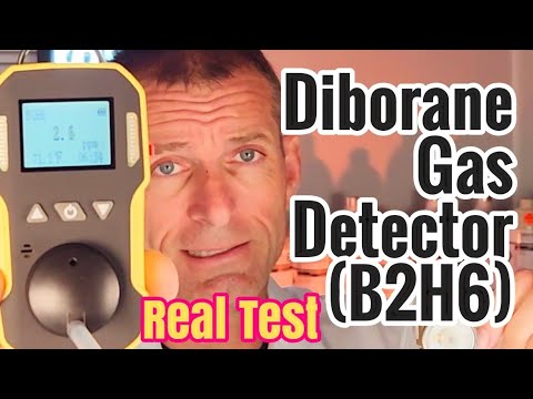 Diborane Gas Detector (B2H6 Gas Detection) - YouTube