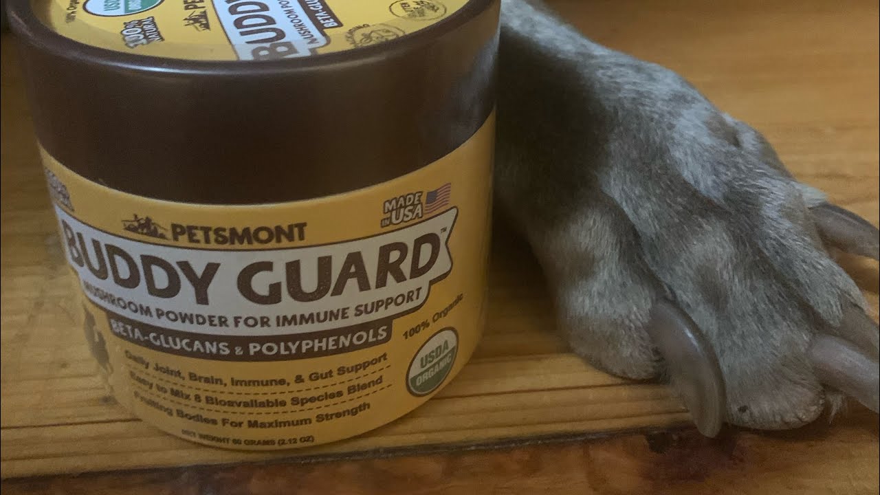 Check out Petsmont Buddy Guard! https://www.petsmont.com/JOE91163 # ...