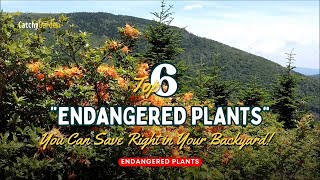 6 Best Endangered Plants You Can Save Right in Your Backyard! 🌷🌵👍 // Gardening Ideas